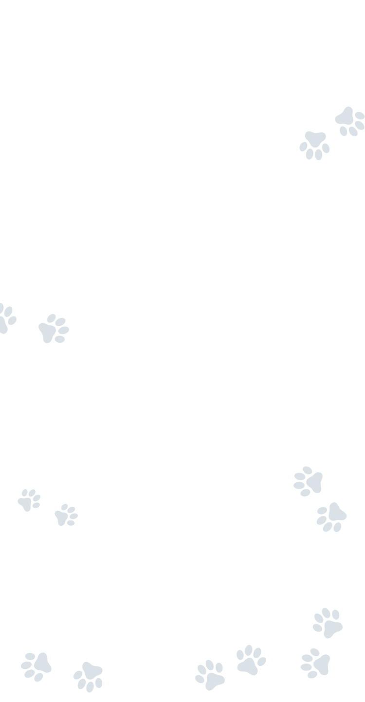 Emotional Support Animal: National Service Animal Registry