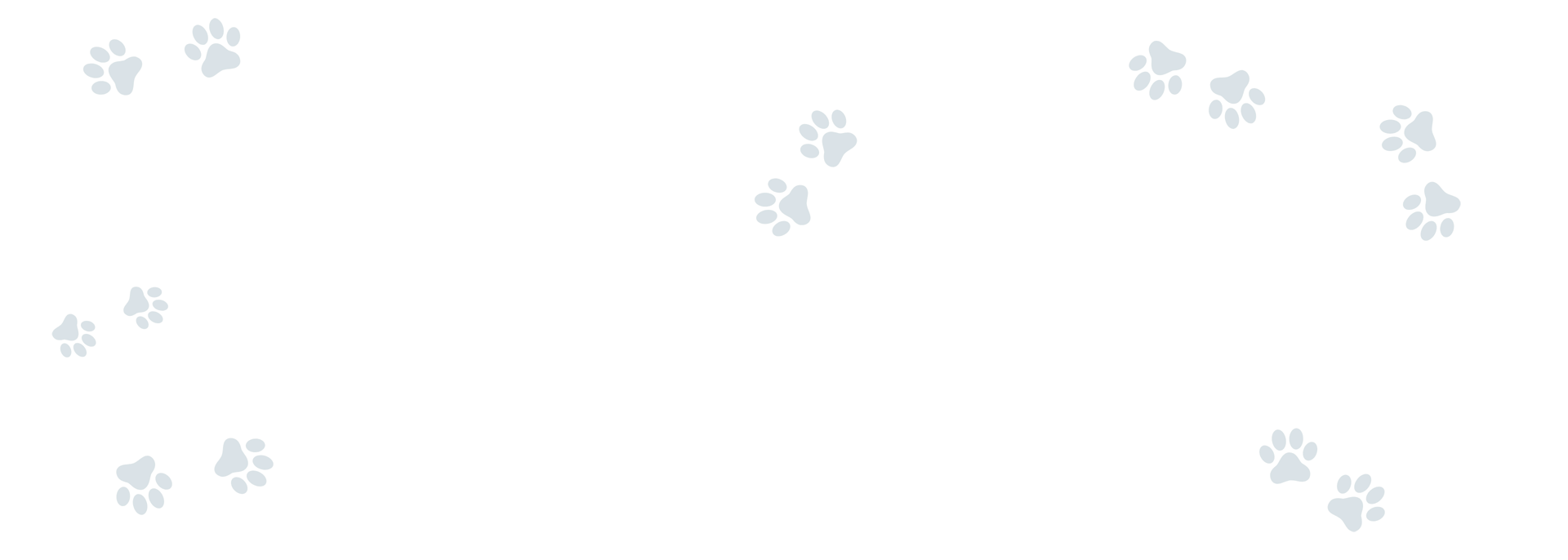 Emotional Support Animal: National Service Animal Registry